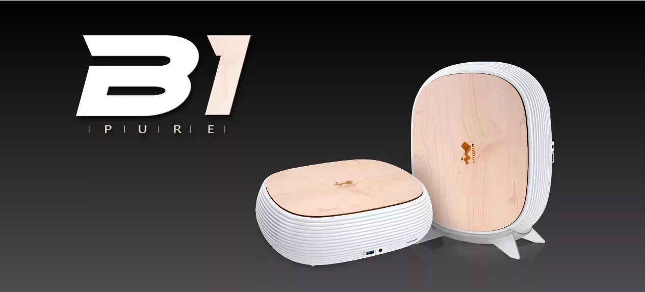 Bon Sang De Bois Qu'il Est Joli Ce InWIn B1 Pure ! • Pause Hardware